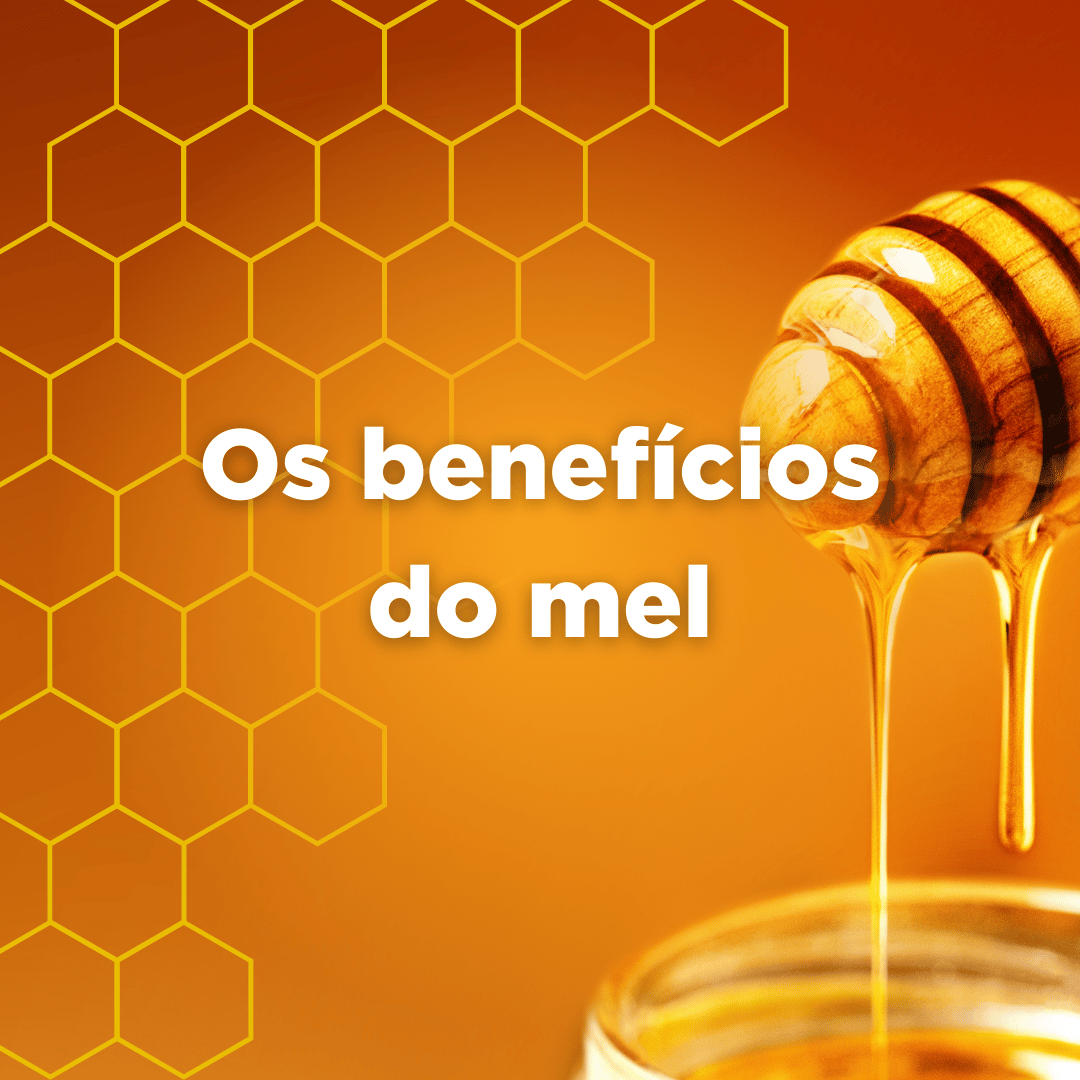 Os benefícios do mel | Blog do Dr. Barakat