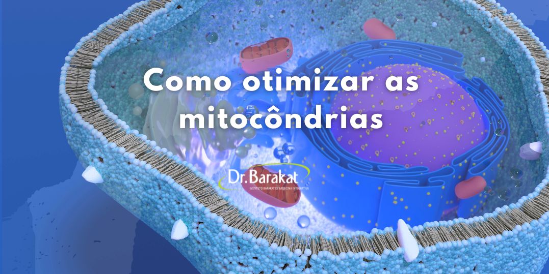 Como otimizar as mitocôndrias | Blog do Dr. Barakat